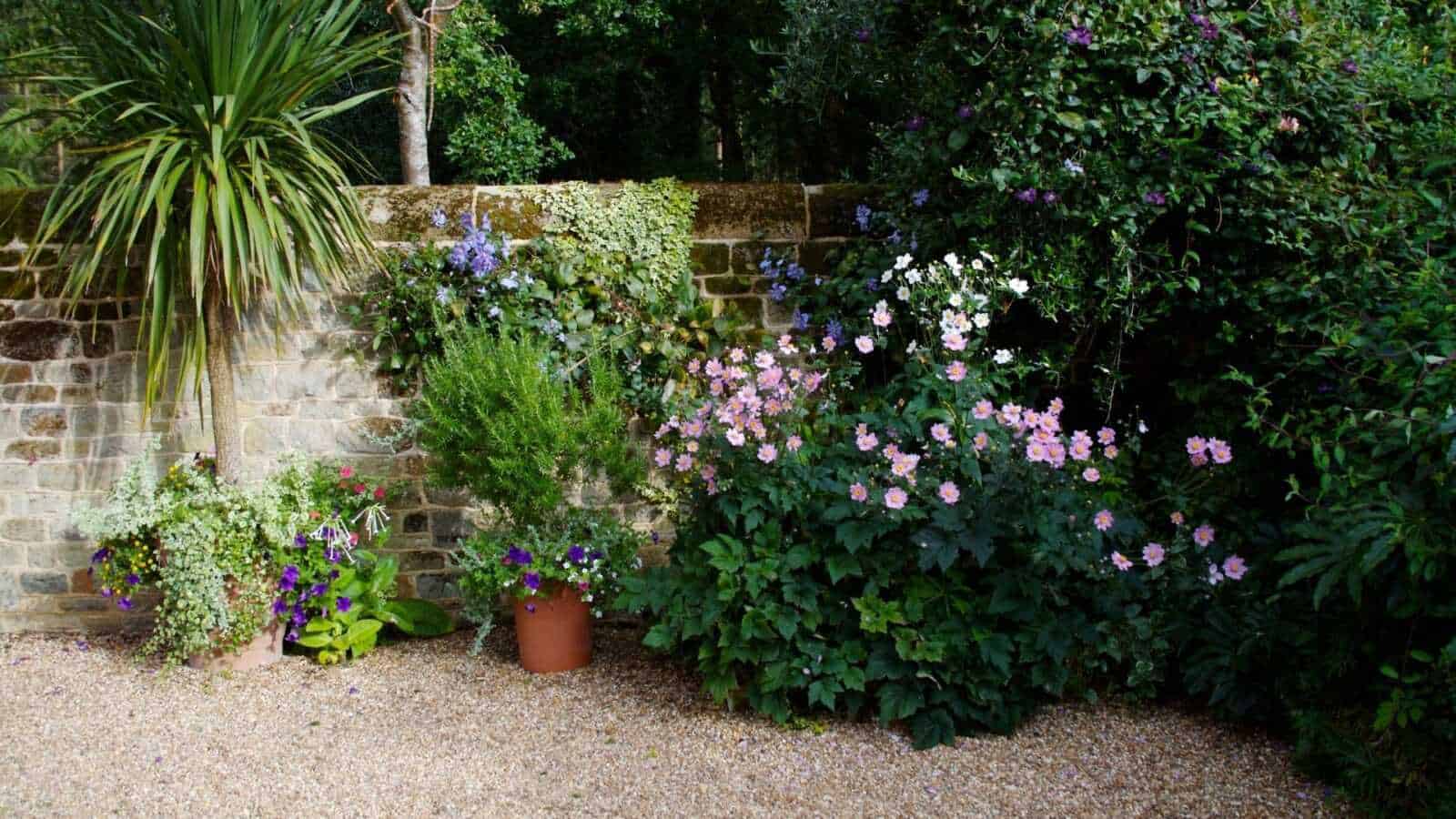 12 Low Maintenance Landscaping and Garden Ideas - Pearl + Creek